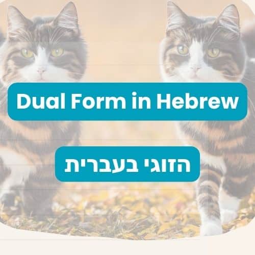 Dual form in Hebrew | הזוגי בעברית ️ - Noam's Hebrew